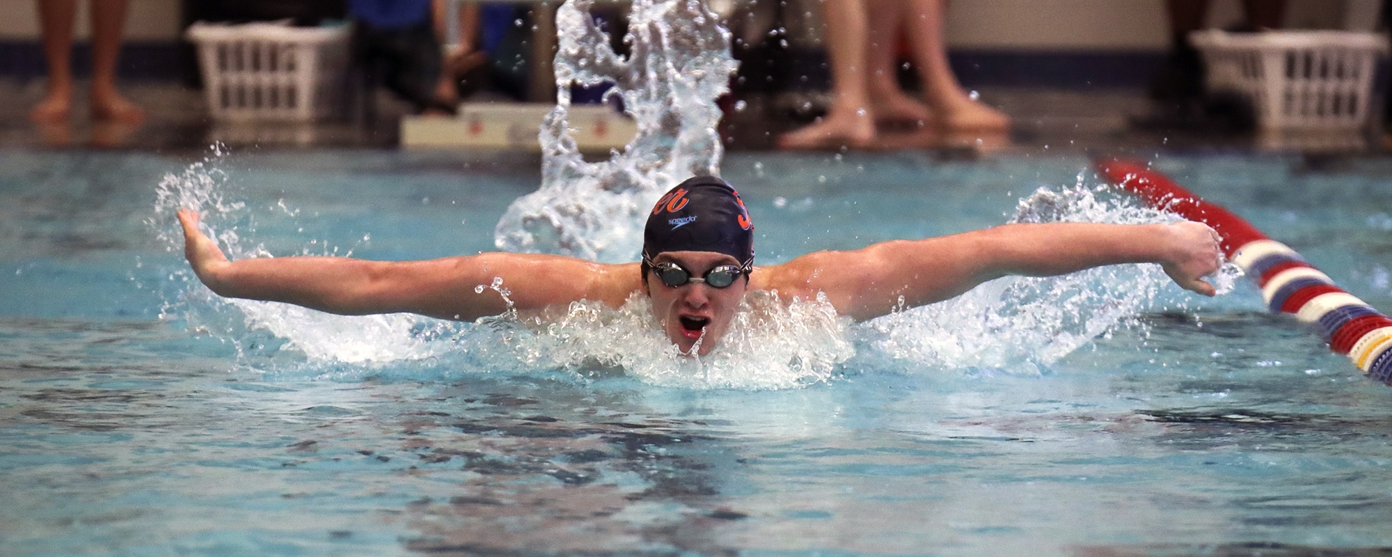 Memphis Tiger Swimming Home